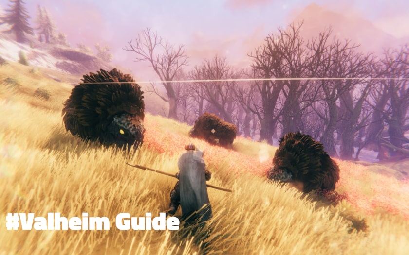 Valheim Guide #26: So findest du den Händler Haldor sowie Münzen